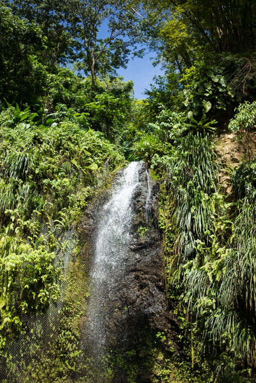 gal-meets-glam-st-lucia-waterfalls - Julia Berolzheimer