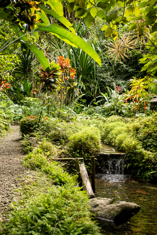 gal-meets-glam-stlucia-botanical-garden-greenery_ - Julia Berolzheimer