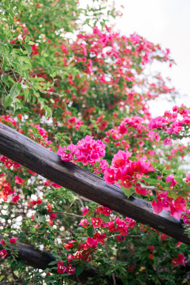 Our Full 5 Day Tulum Travel Guide - Julia Berolzheimer