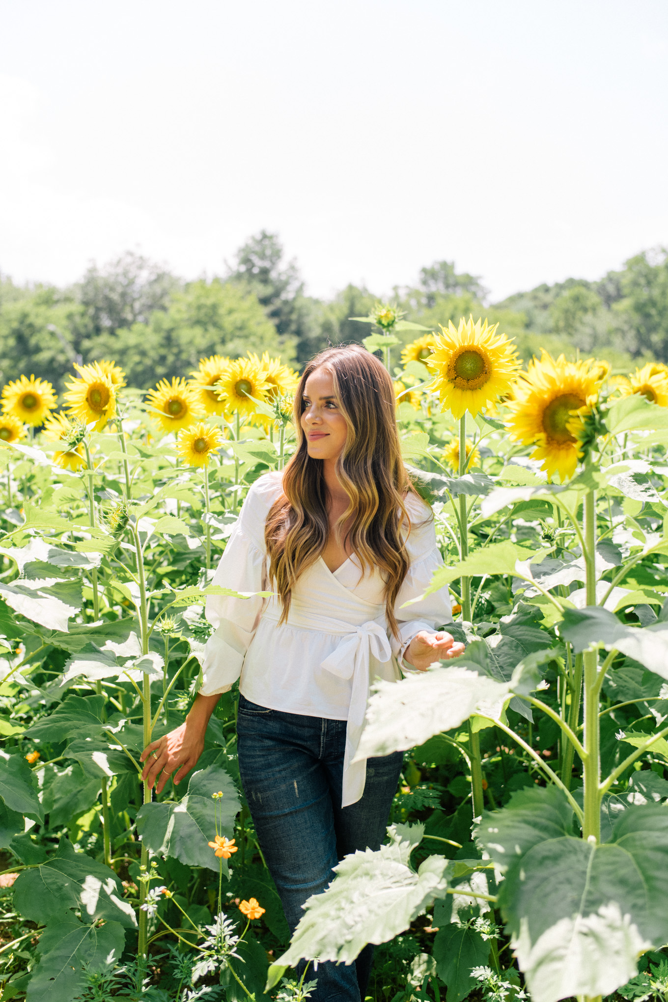 gal-meets-glam-sunflowers-asheville-1003566 - Julia Berolzheimer