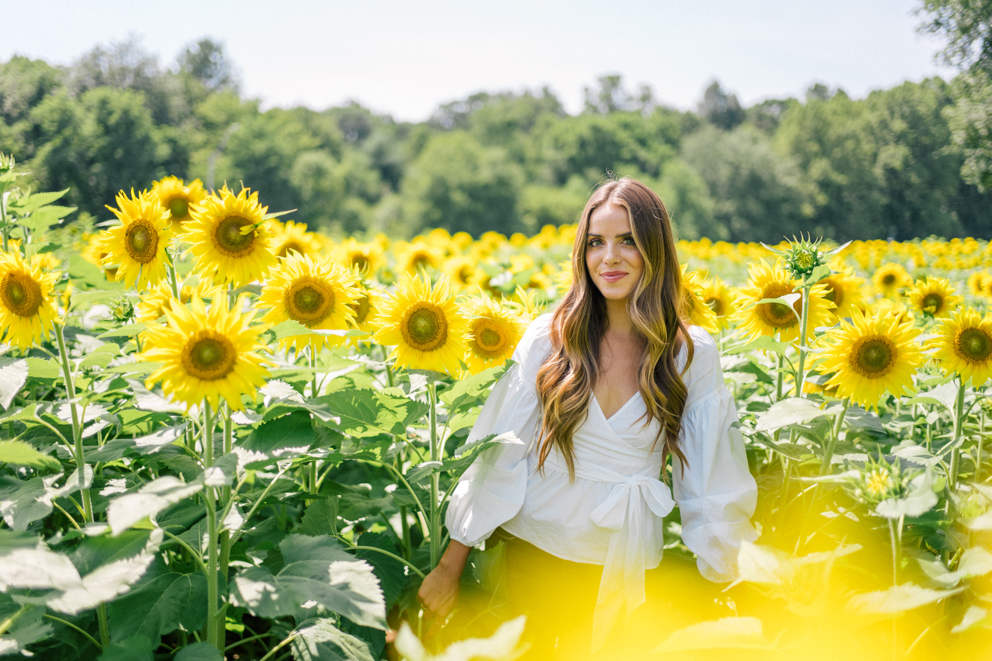 gal-meets-glam-sunflowers-asheville-1003828 - Julia Berolzheimer