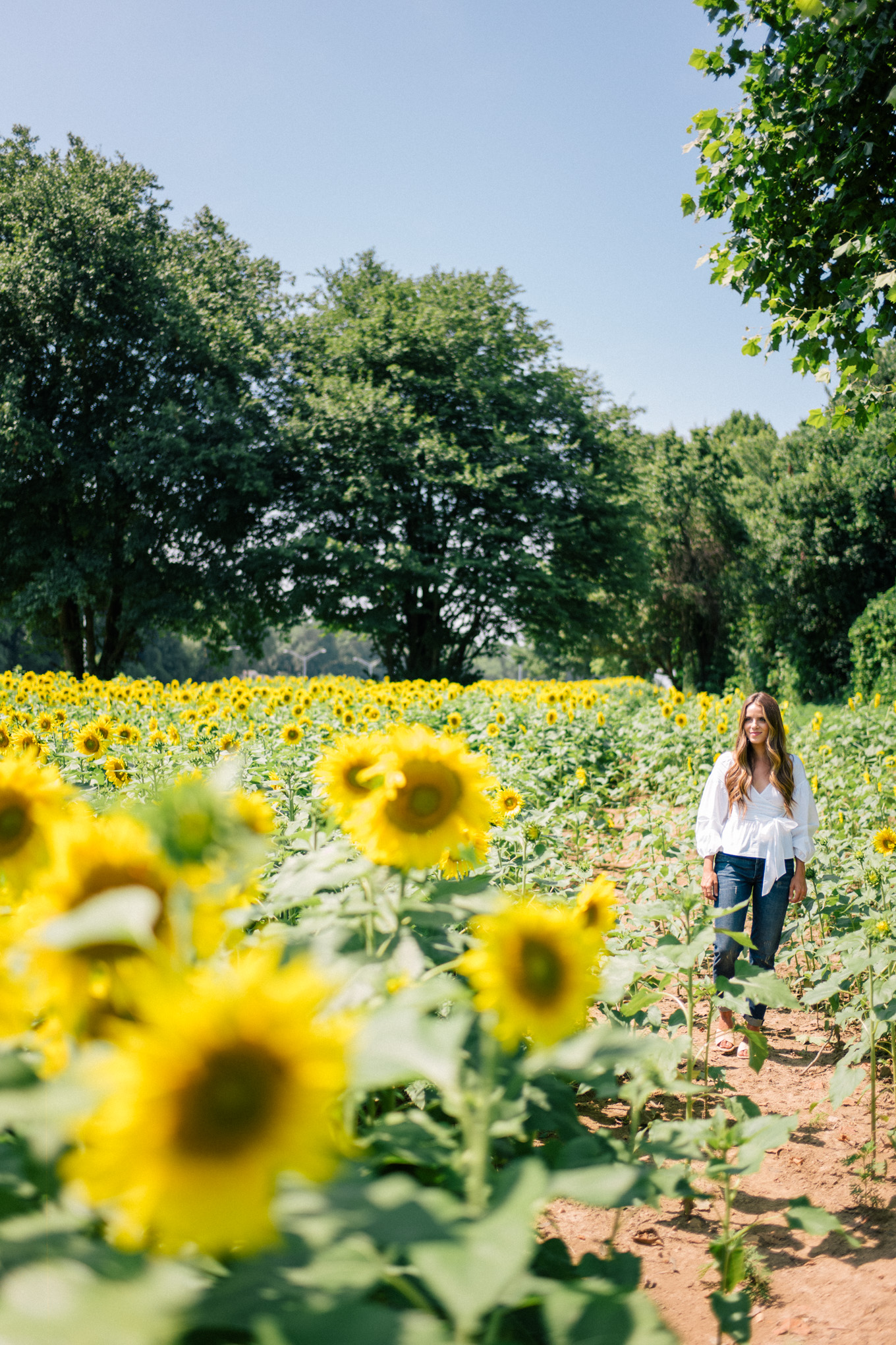 gal-meets-glam-sunflowers-asheville-1003835 - Julia Berolzheimer
