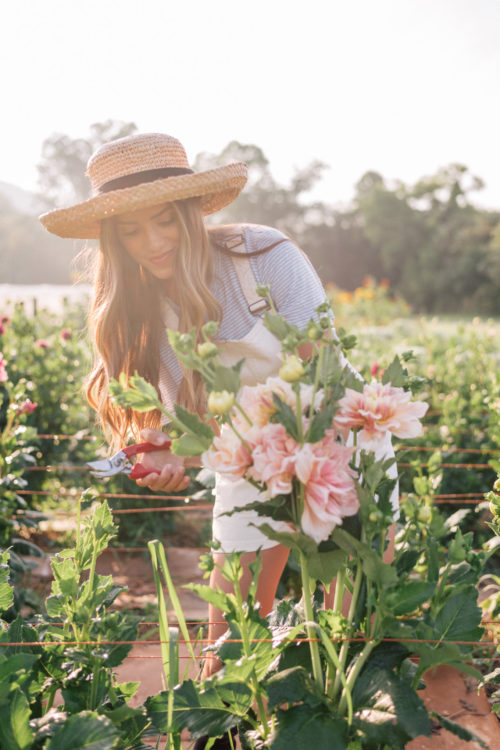 This Flower Farm Will Make You Want To Become A Flower Farmer - Julia ...