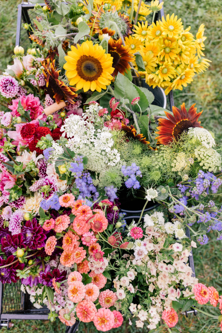 This Flower Farm Will Make You Want To Become A Flower Farmer - Julia ...
