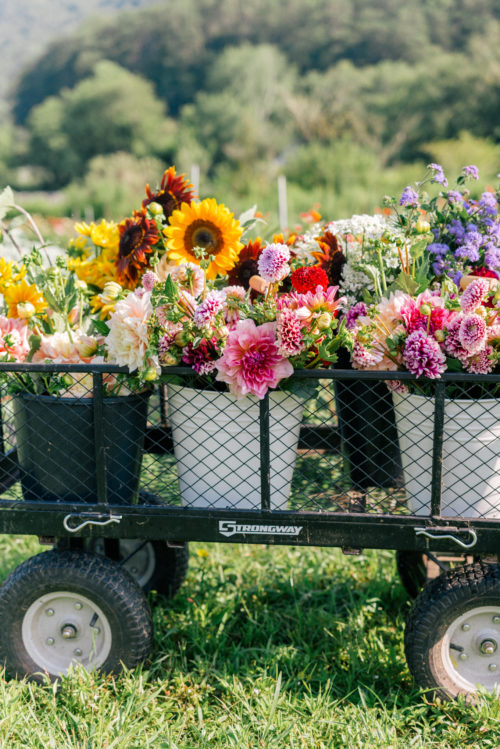 This Flower Farm Will Make You Want To Become A Flower Farmer - Julia ...