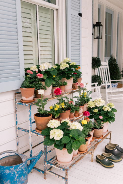 Our Front Porch Plant Stand - Julia Berolzheimer