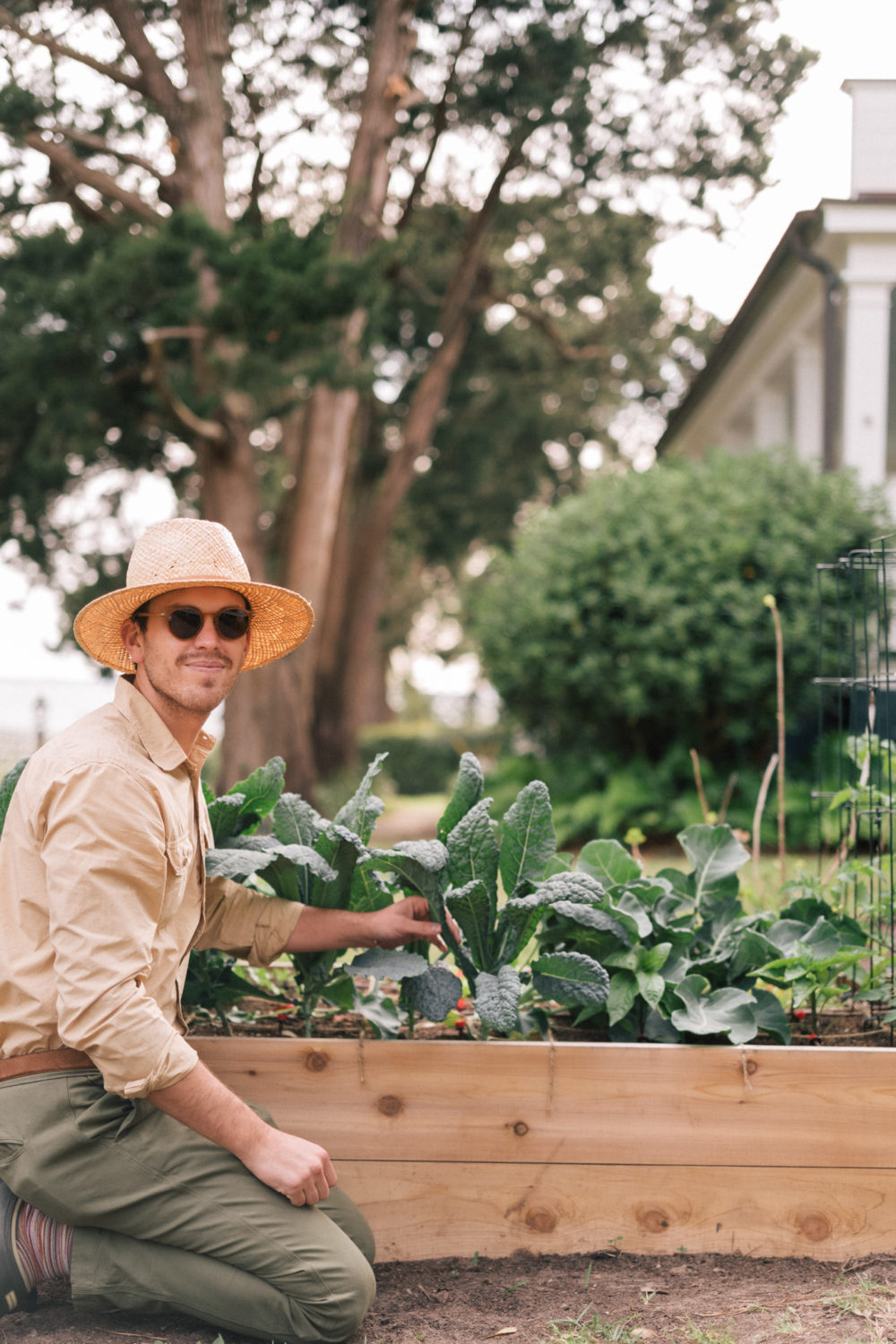 Thomas' Beginning Gardening Guide - Julia Berolzheimer