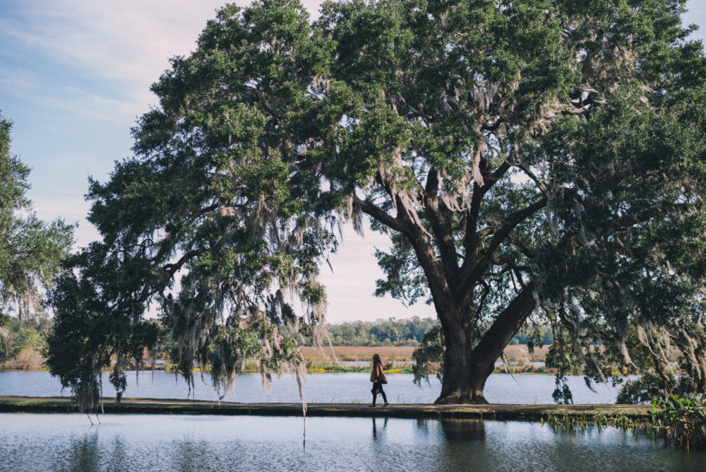 Our Guide To Charleston In The Fall - Julia Berolzheimer
