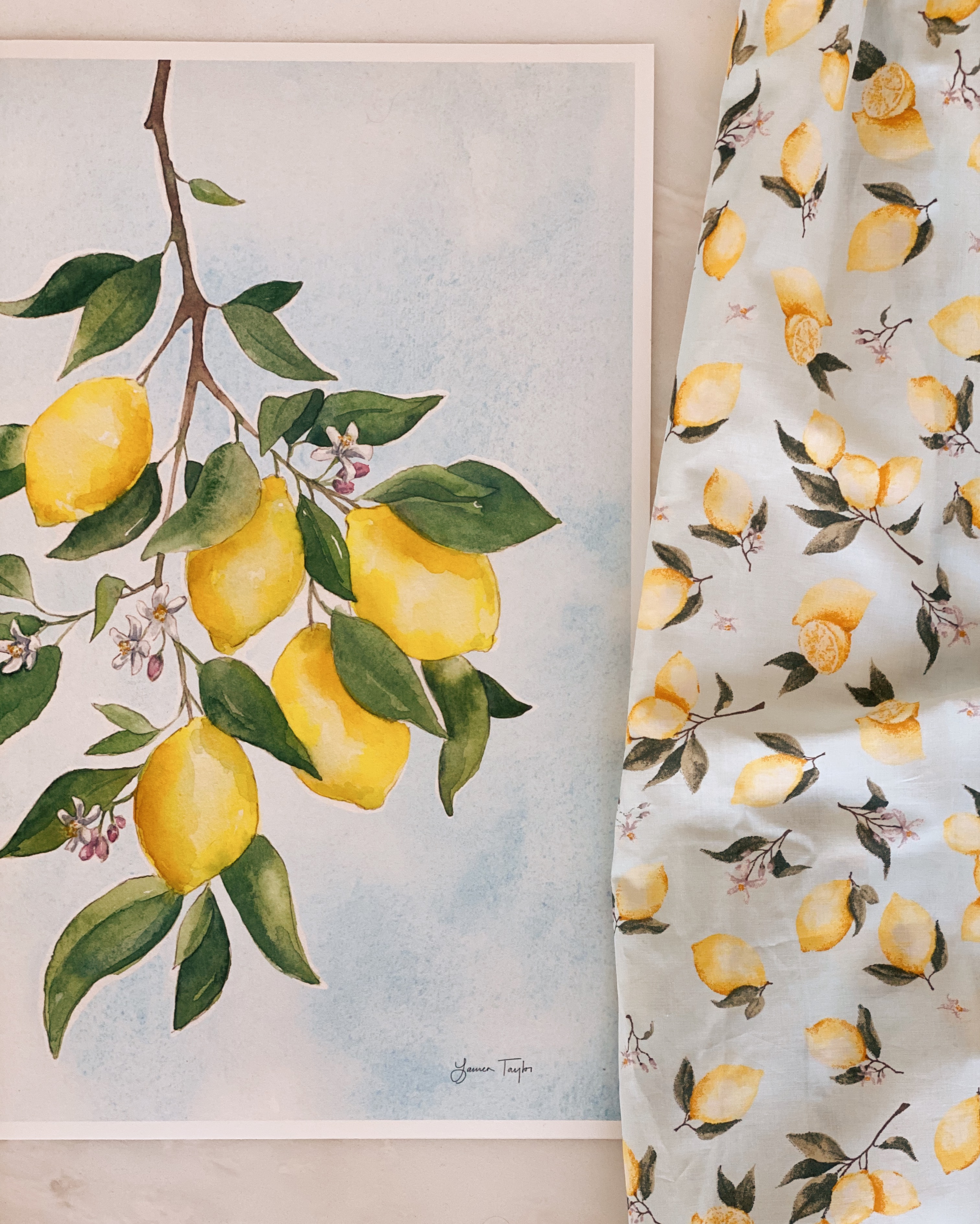 Processed with VSCO with e3 preset - Julia Berolzheimer