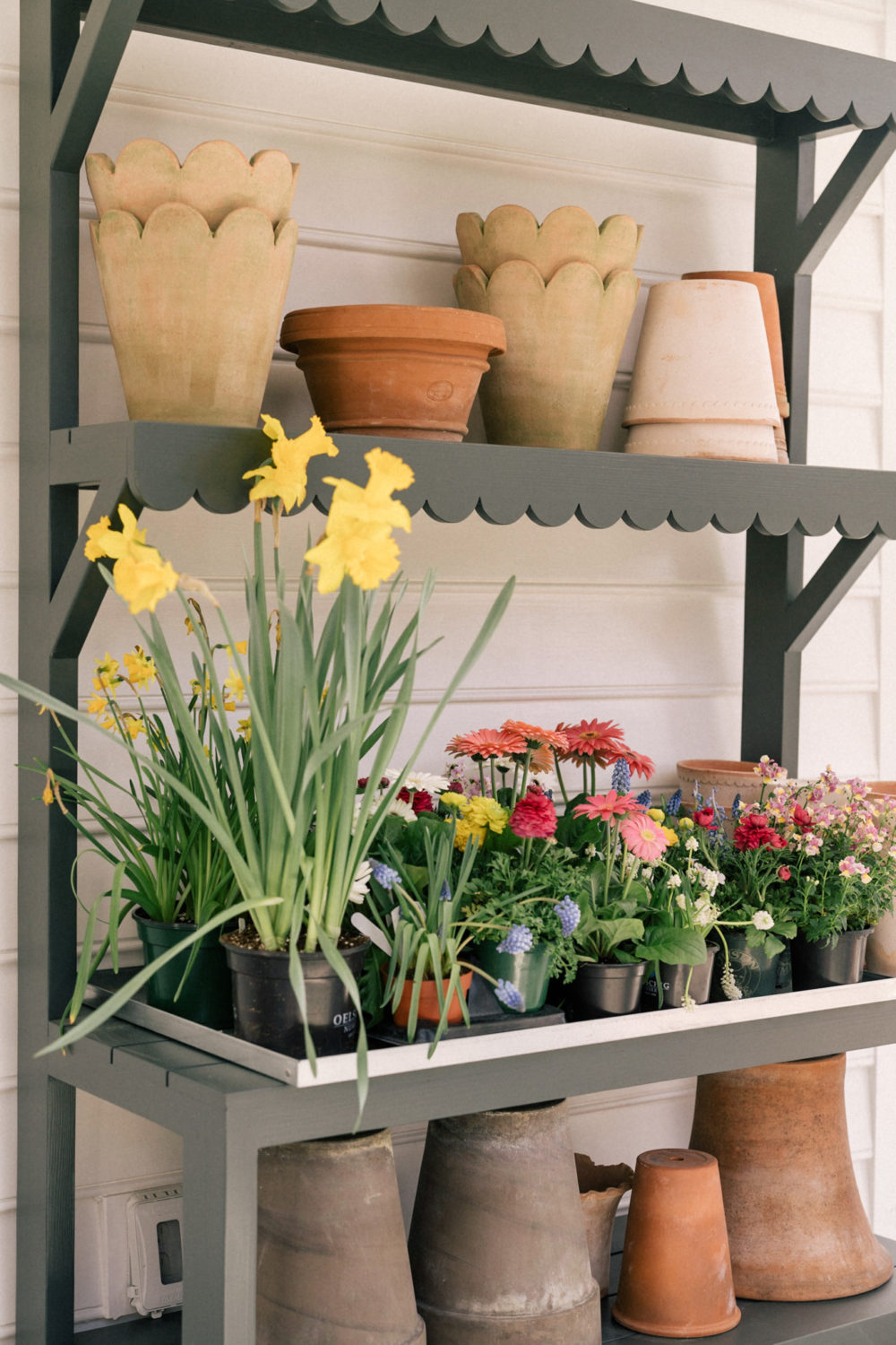 Pots, Planters & Baskets For Spring Flowers - Julia Berolzheimer