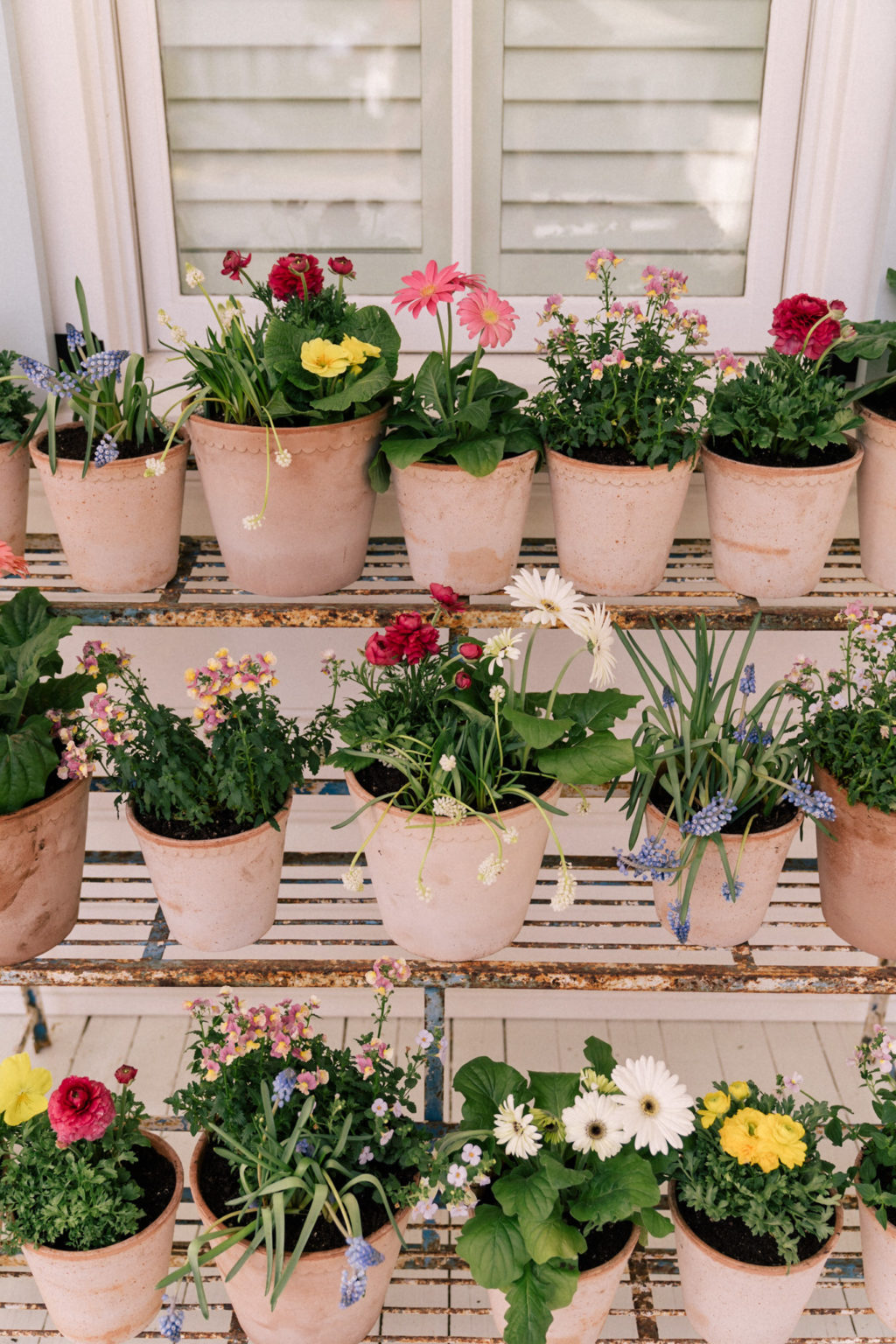 Pots, Planters & Baskets For Spring Flowers - Julia Berolzheimer