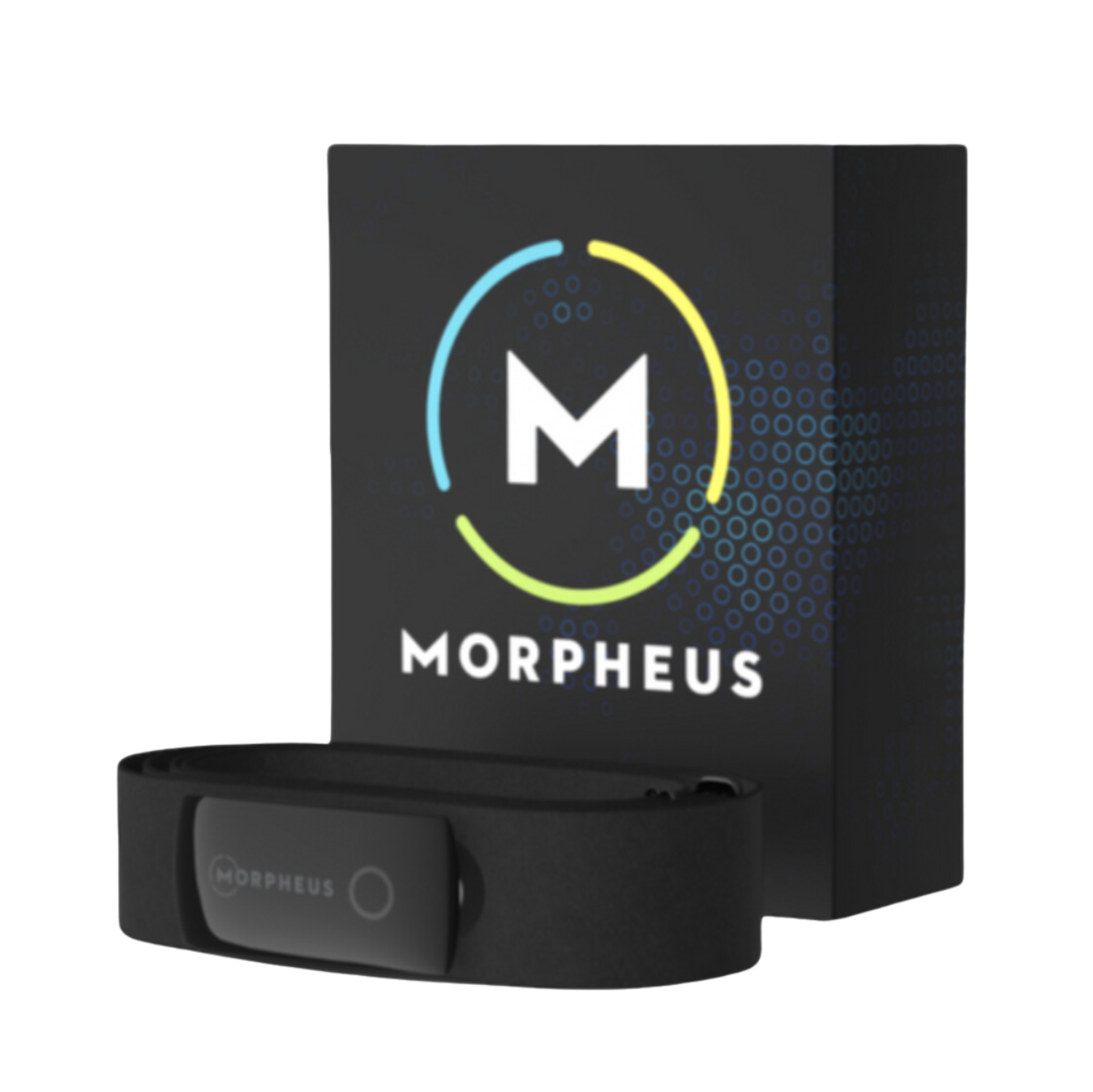 MORPHEUS TRAINING AND RECOVERY - Julia Berolzheimer